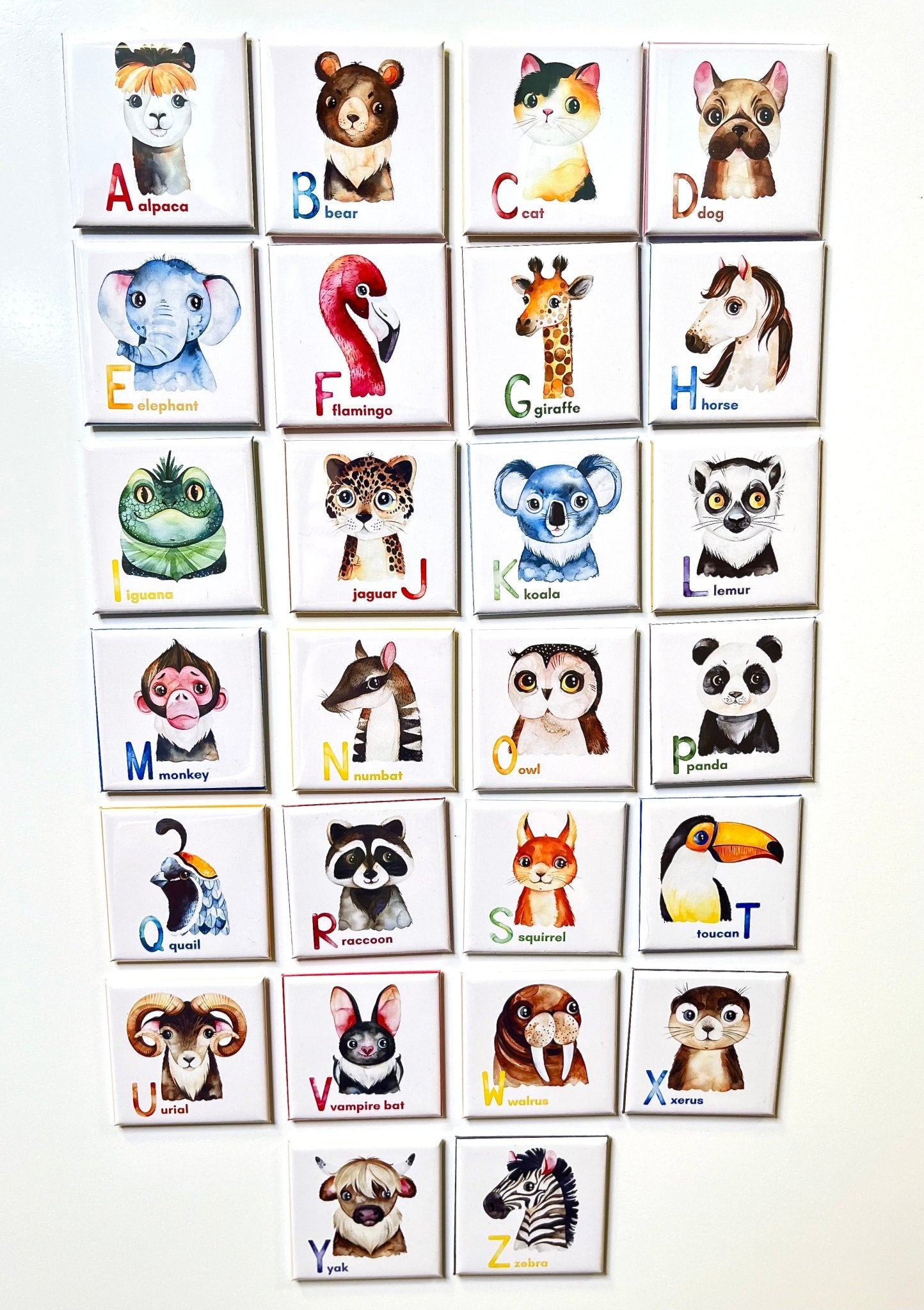 Animal Alphabet Magnet Set | Fun & Educational ABC Magnets – Bard and Bloom